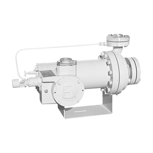 Basic Chemical Canned Motor Pumps - Daruihong Canned Pump